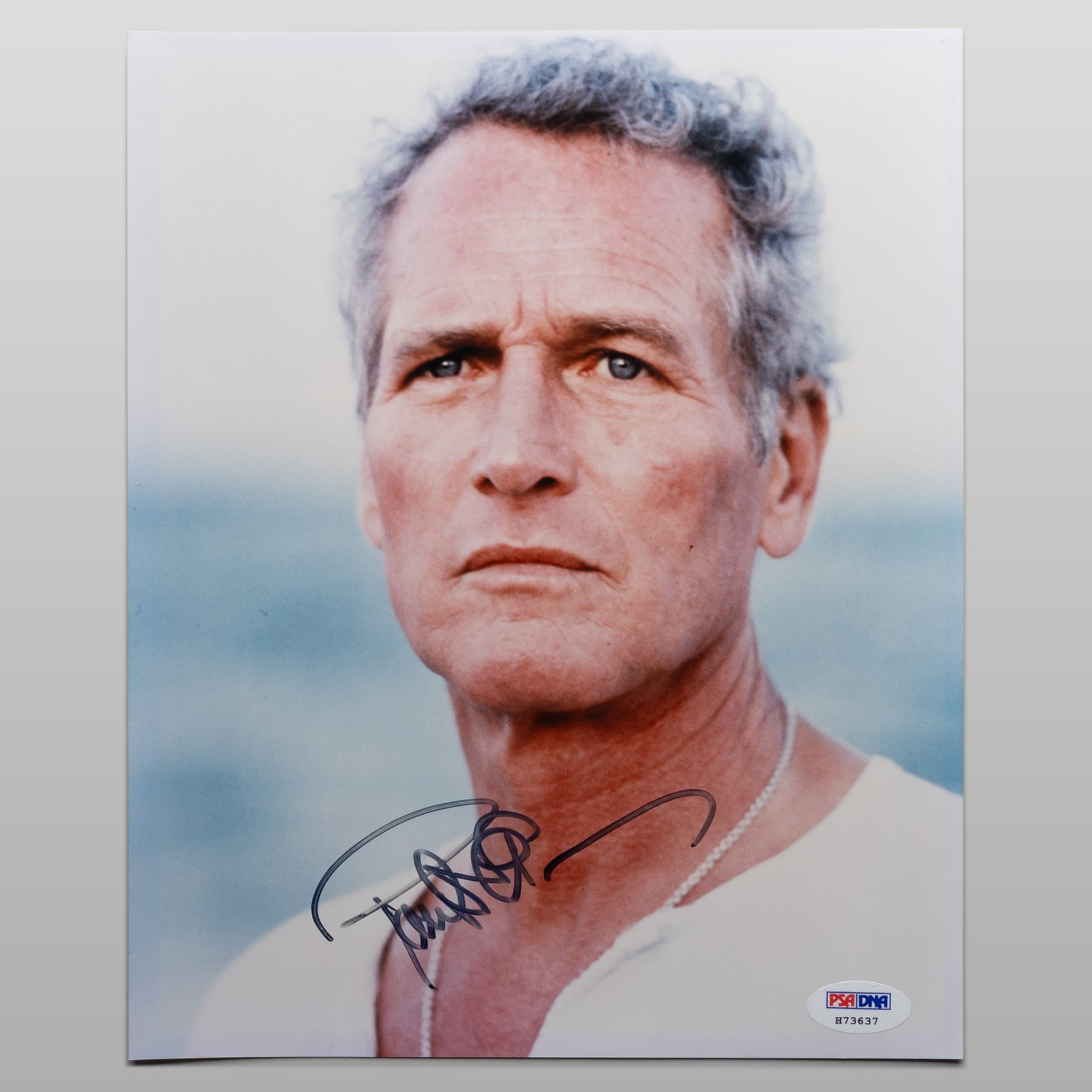 ポール・ニューマン - FUN COLLECTIONS