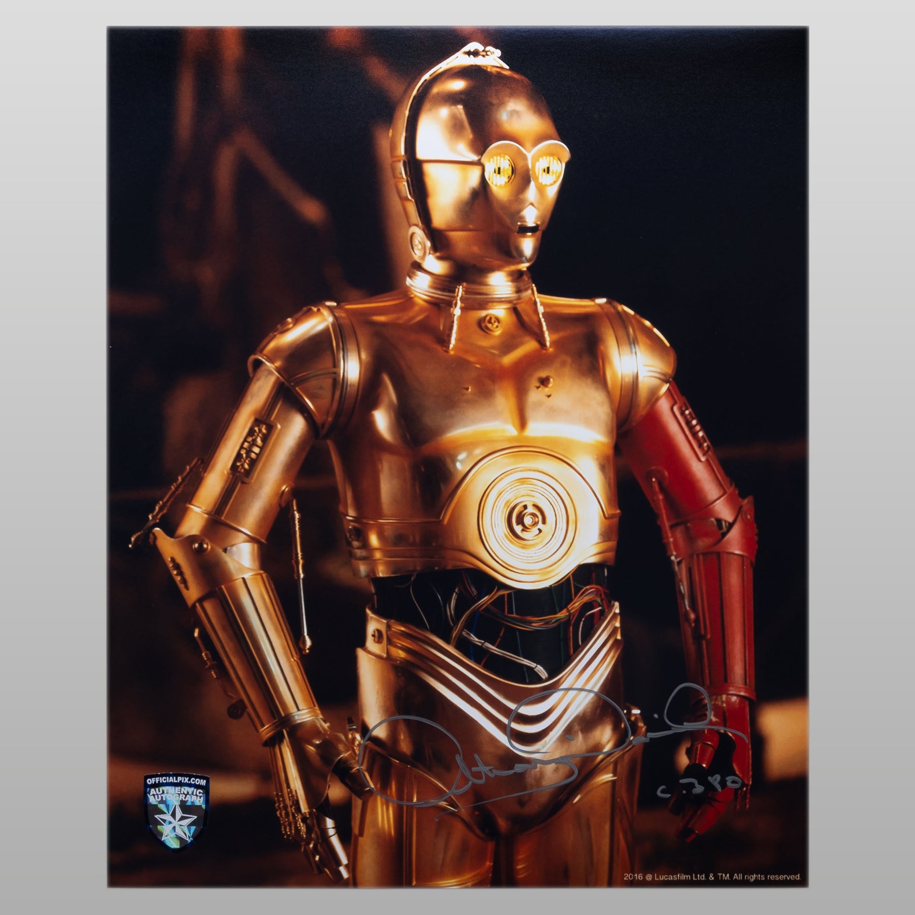 アンソニー・ダニエルズ - FUN COLLECTIONS